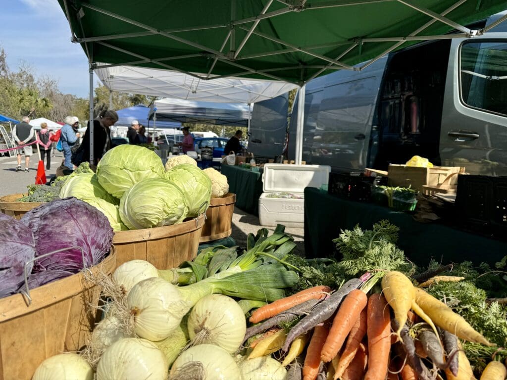 Farmer's Market Bluffton Times & Location | Bluffton SC